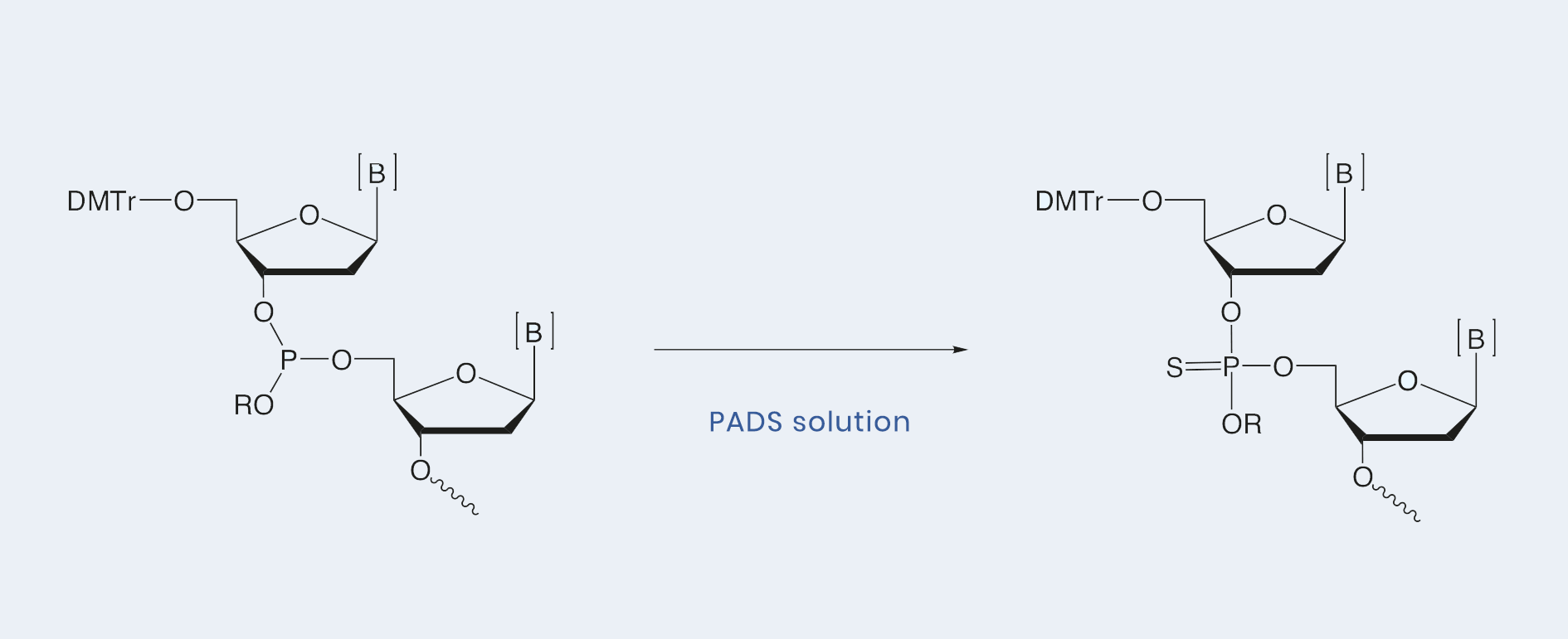 Oligonucleotide Synthesis Reagents