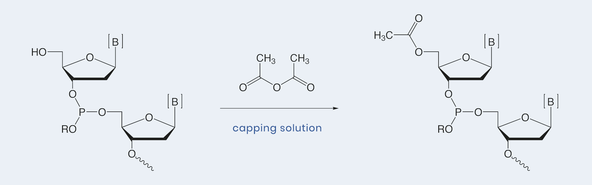 Oligonucleotide Synthesis Reagents