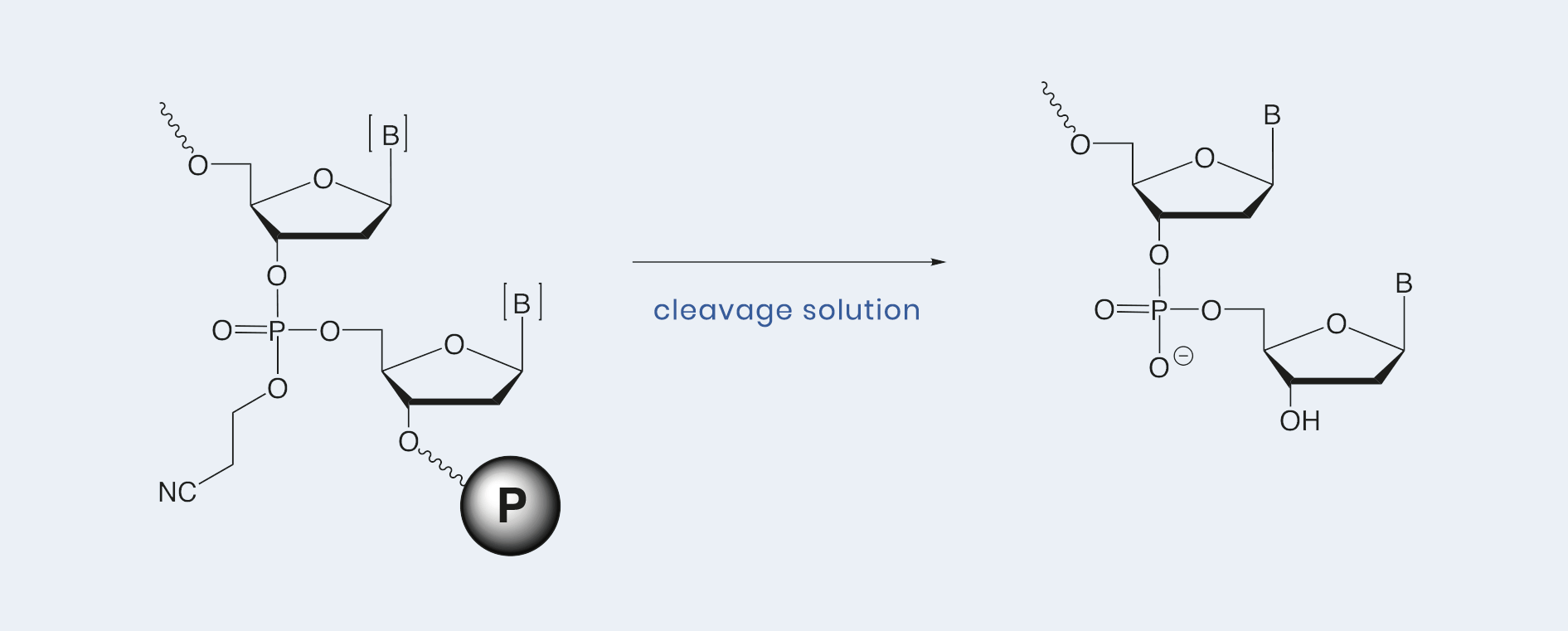 Oligonucleotide Synthesis Reagents