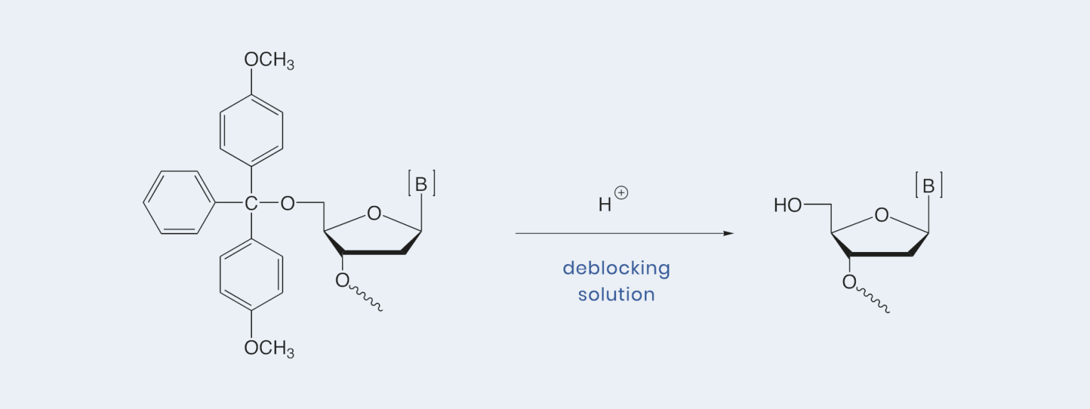 Oligonucleotide Synthesis Reagents